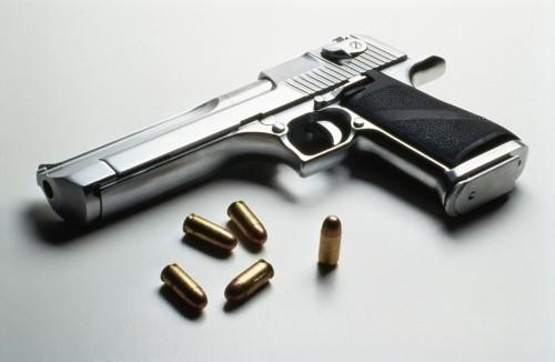 ADDING CALIBERS TO BSIS FIREARM PERMIT | CAS and SONS