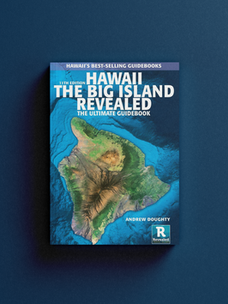 Book Club | Pesos Pesados