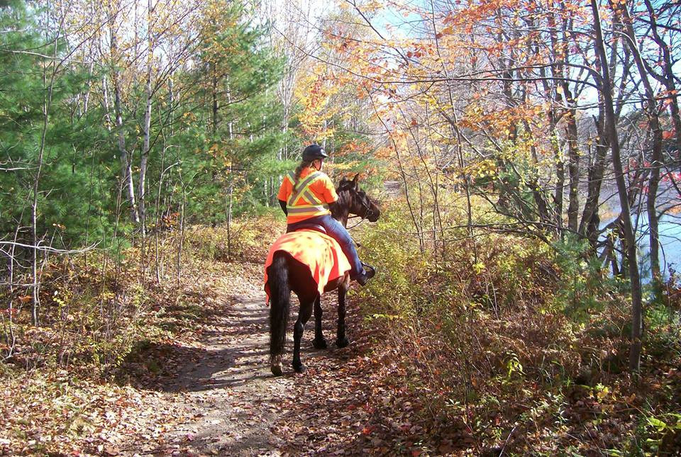 Custom Quarter Sheets