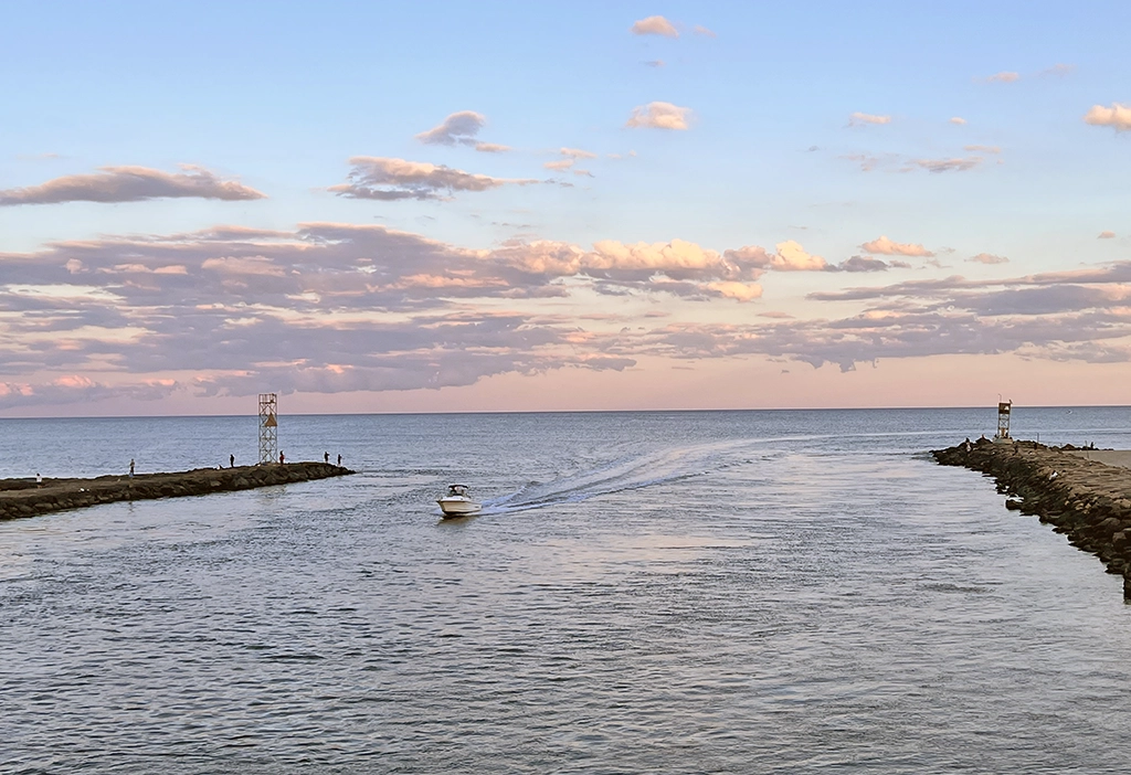 Area Attractions: Scenic Overlook At The Shark River Bridge