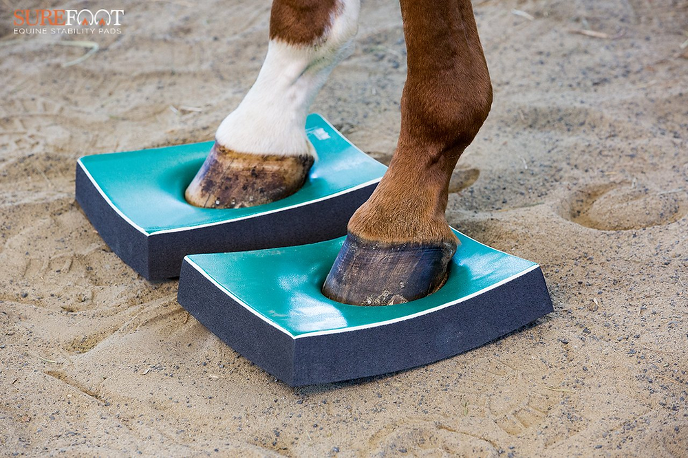Do Balance Pads Really Work? A Vet’s Take on Equine Proprioception Tools