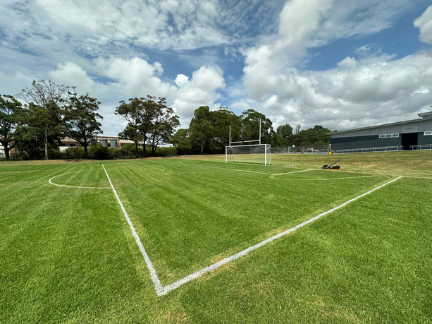 Sports fields | Projects
