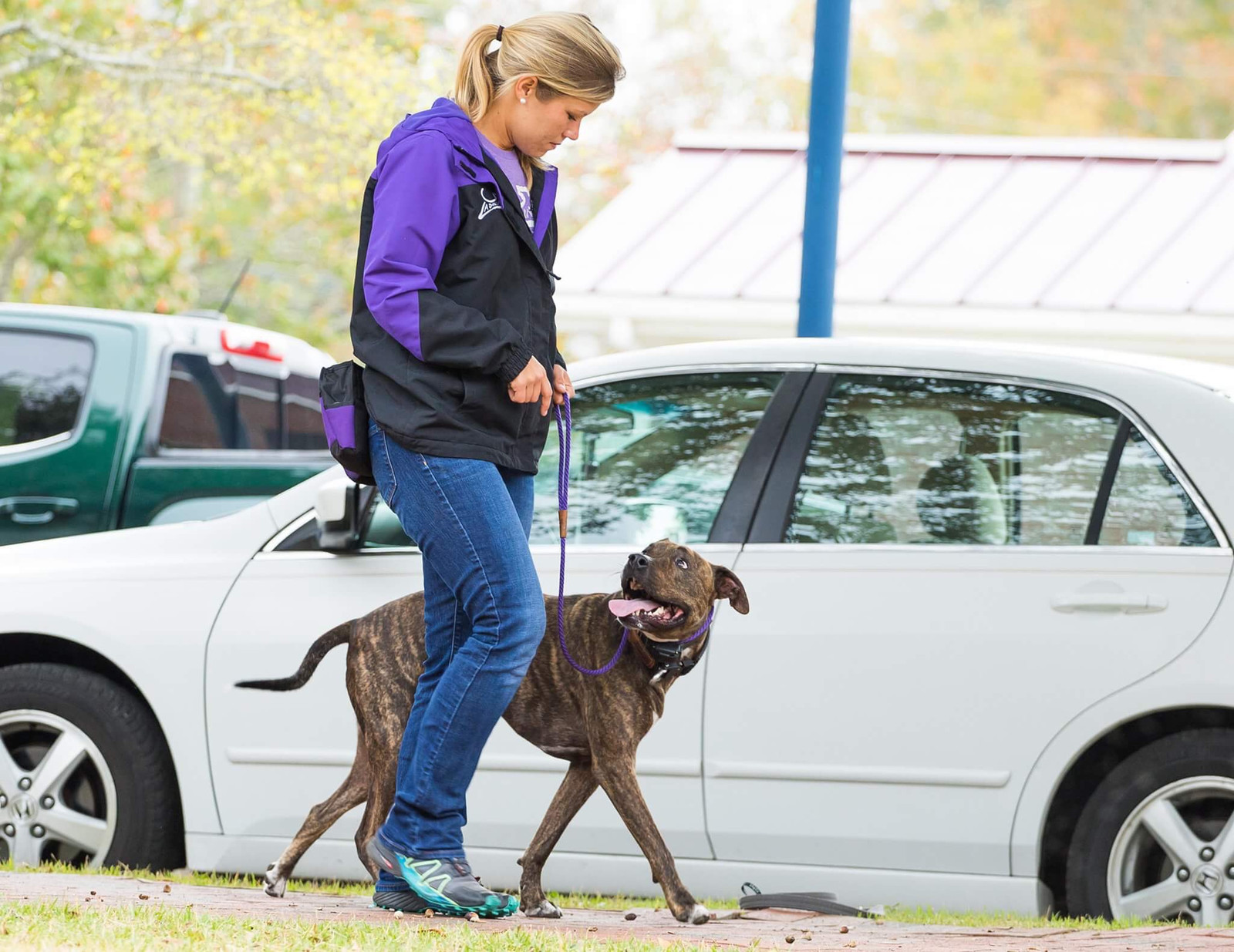 A Dogs Life Inc. Dog Training in Monroe, NC and Surrounding Areas