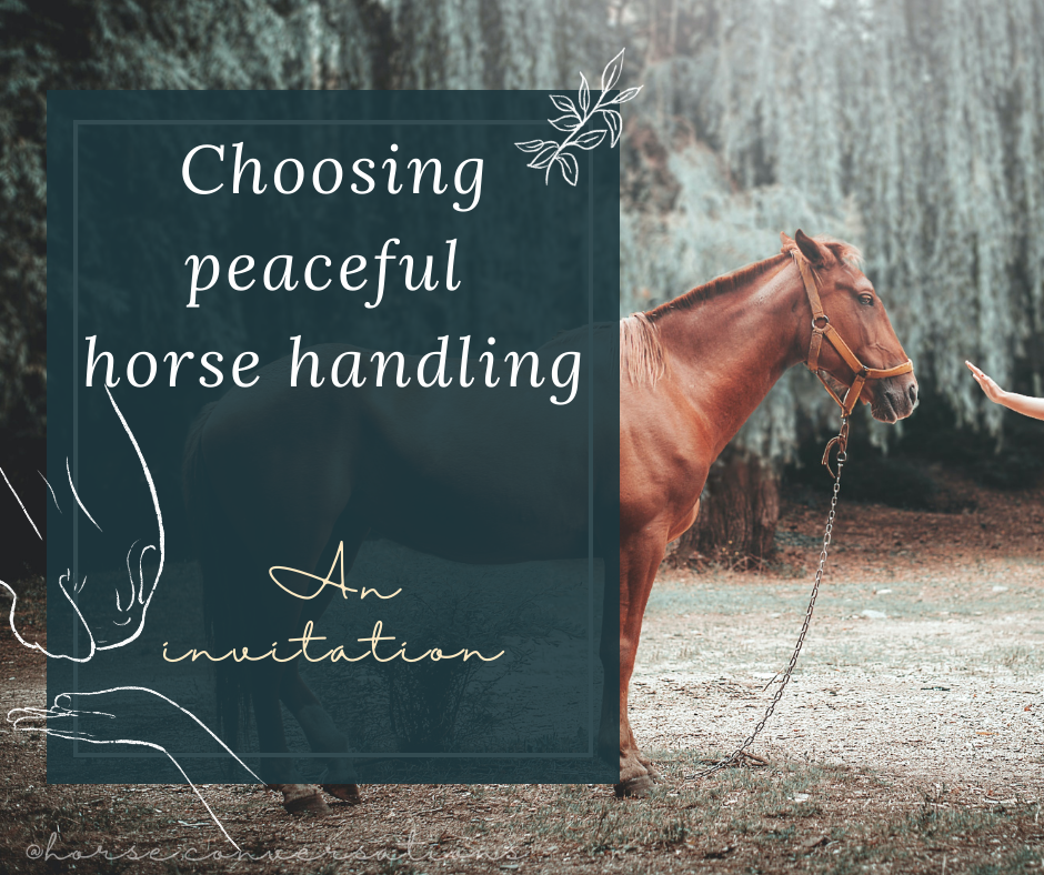 Choosing Peaceful Horse Handling choosing-peaceful-horse-handling