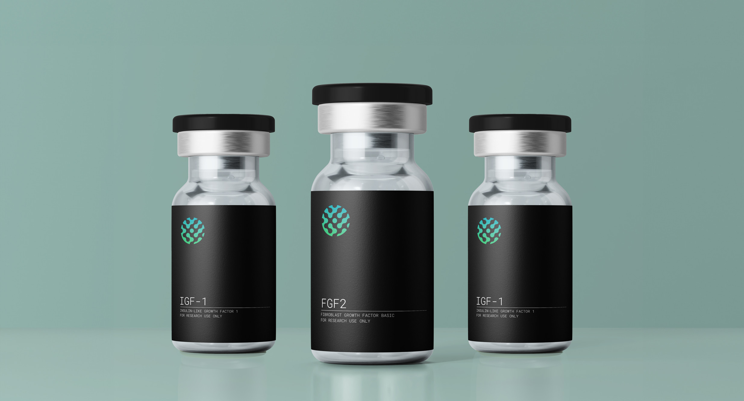 About Immobazyme | Meet The Team