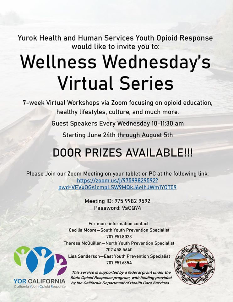 Wellness Wednesday’s Virtual Series 7-week Virtual Workshops