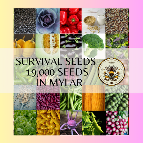 SURVIVAL SEED KIT 19,000 seeds in Resealable Mylar with Oxygen pack and ...
