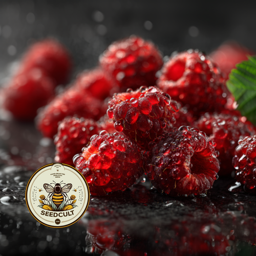 Red Raspberry Seeds, Rubus Idaeus RB0430 | Seedcult