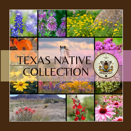 Texas Native Collection | Seedcult