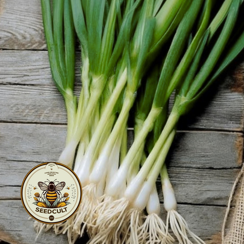 Welsh Onion Seeds, Food Forest, Perennial Vegetables, White Bunching ...