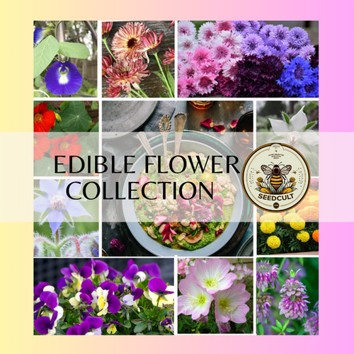 Edible Flower Seed Gift Box Collection, Sampler Gift, 10 Individual ...