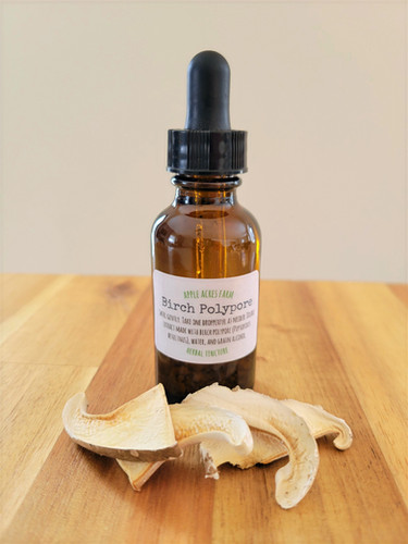 Birch Polypore Tincture | Apple Acres Farm