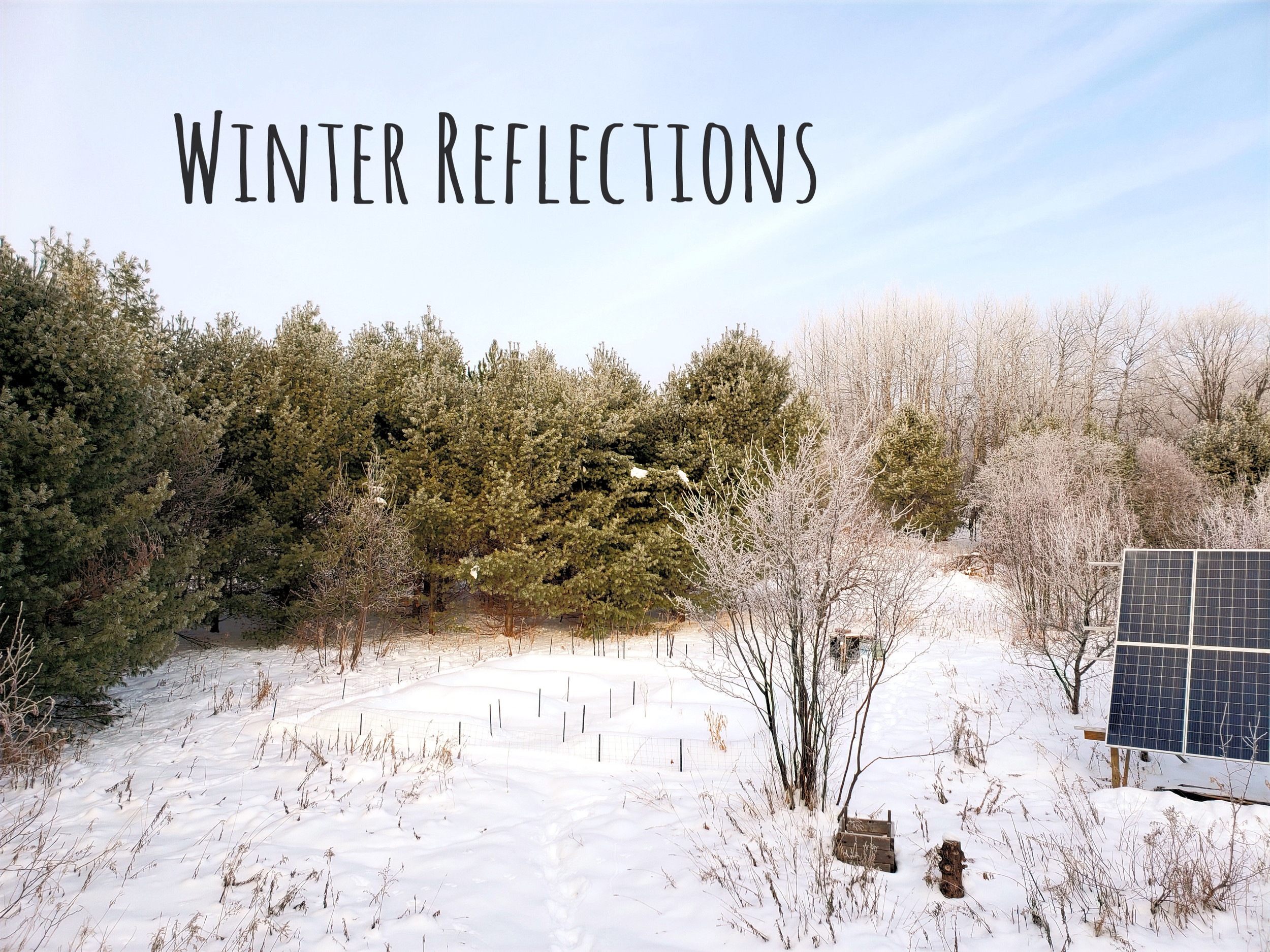 Winter Reflections | Blog Post