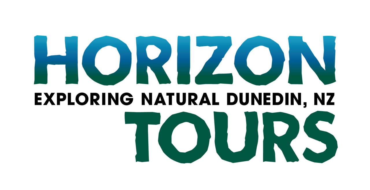 City Sights Tours | Horizon Tours