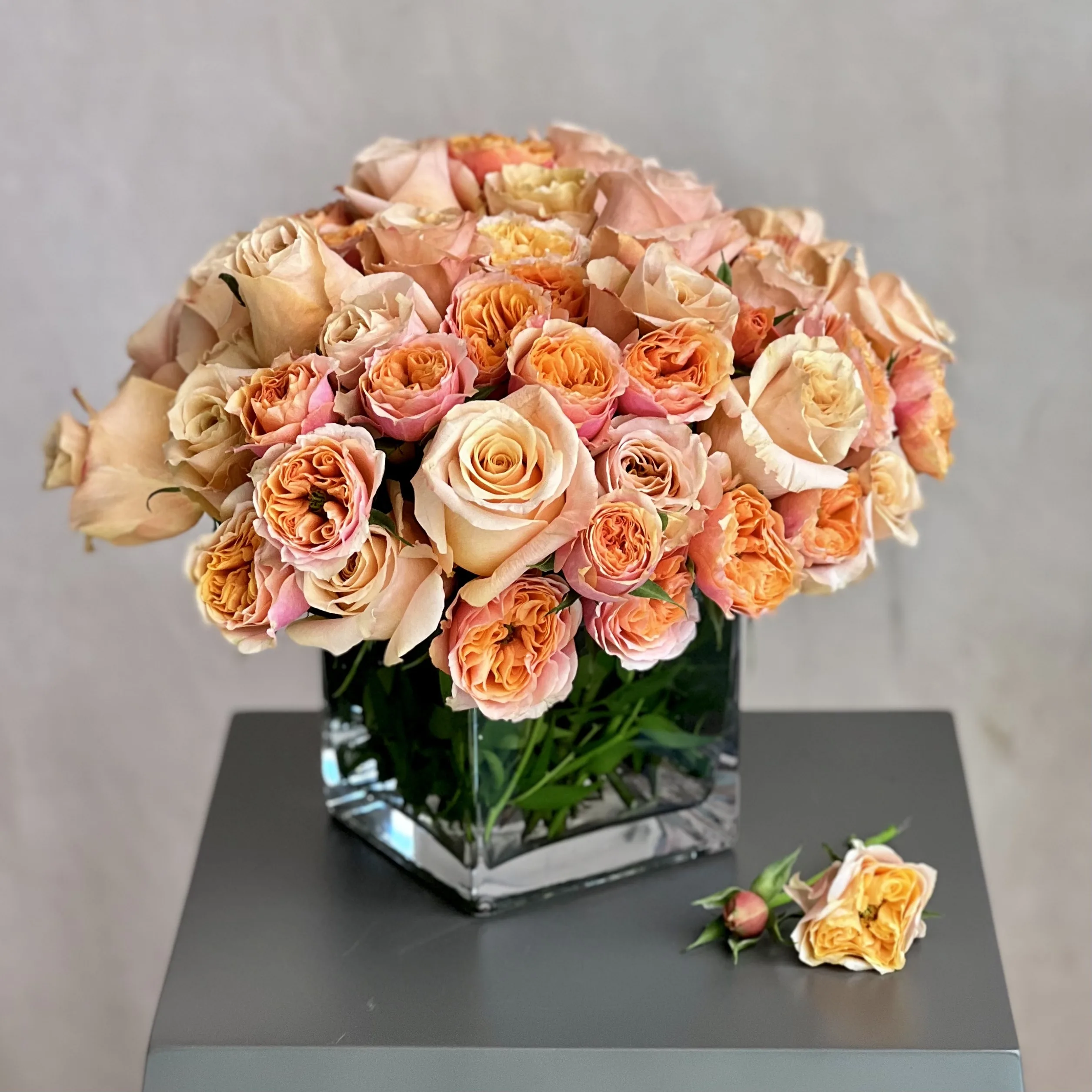 Flowers Oakville | The Petal Project