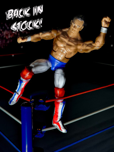 Chella Toys Variant Dynamite Kid Tom Billington Uncensored Collection ...