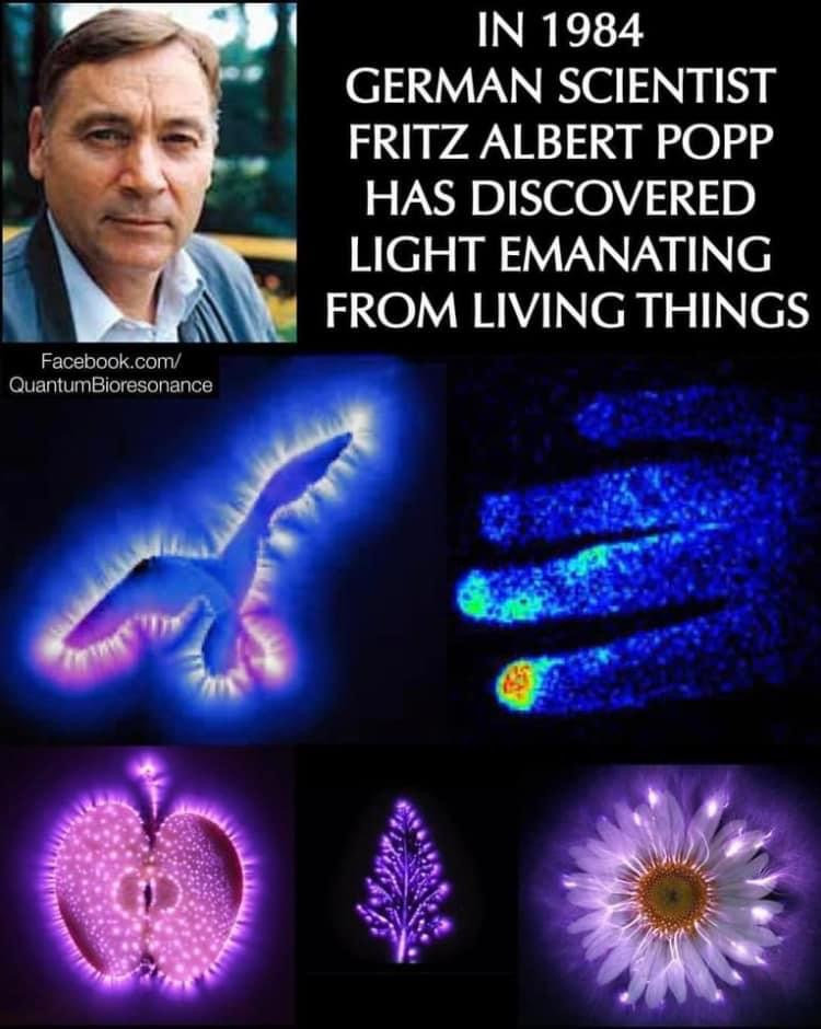 BIOPHOTONS - THE LIGHT IN OUR CELLS