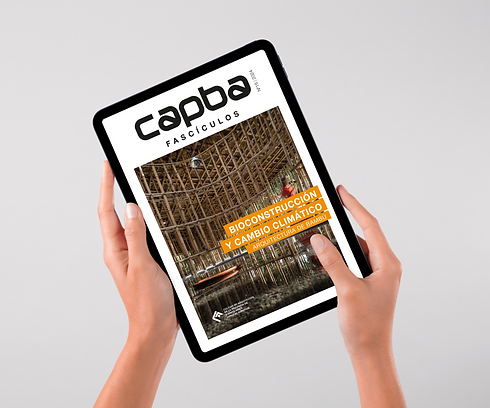 Publicaciones | capbacs2023