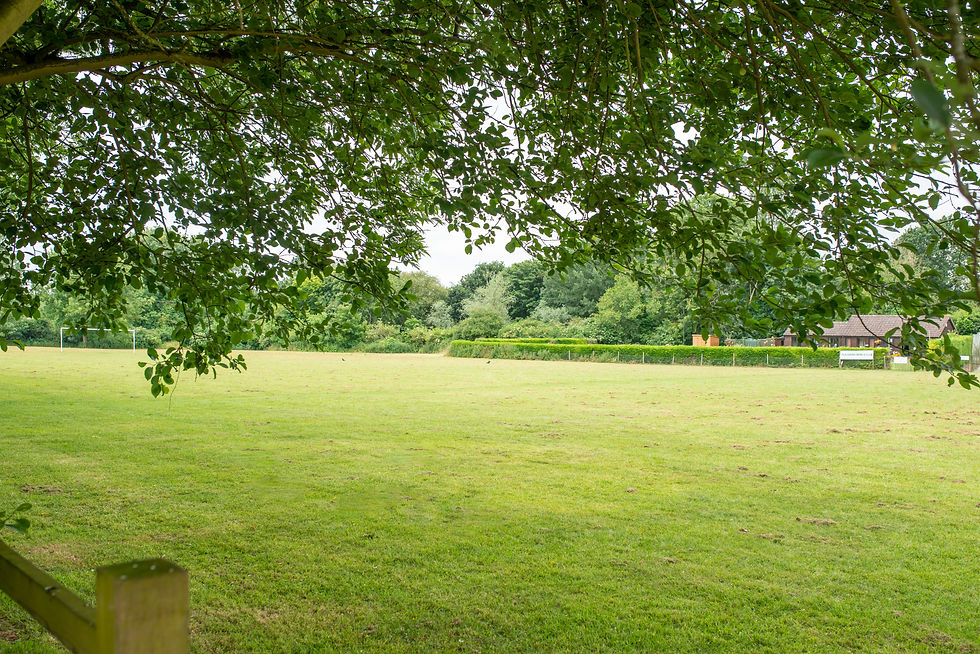 Jubilee Field | Hill Green | Clavering Essex