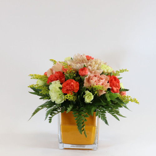 Medium Cube Arrangement | Burnaby Lake