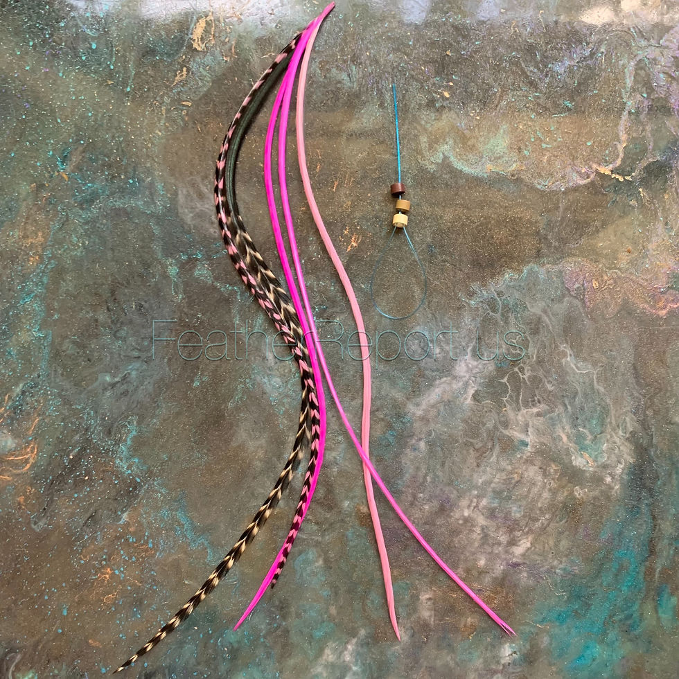 Bonded Feather Extensions & DIY Hair Feather Kits with Beads ...