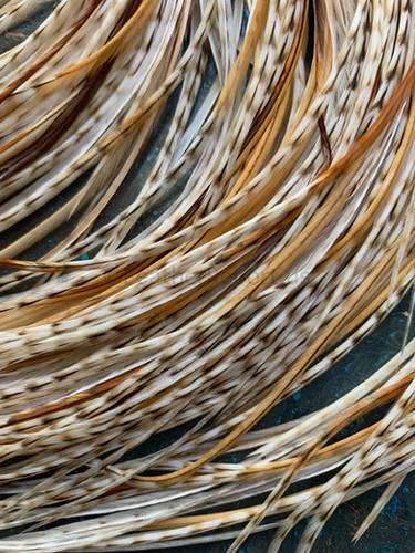 One dollar feathers unique variant thin rooster hackle for hair ...