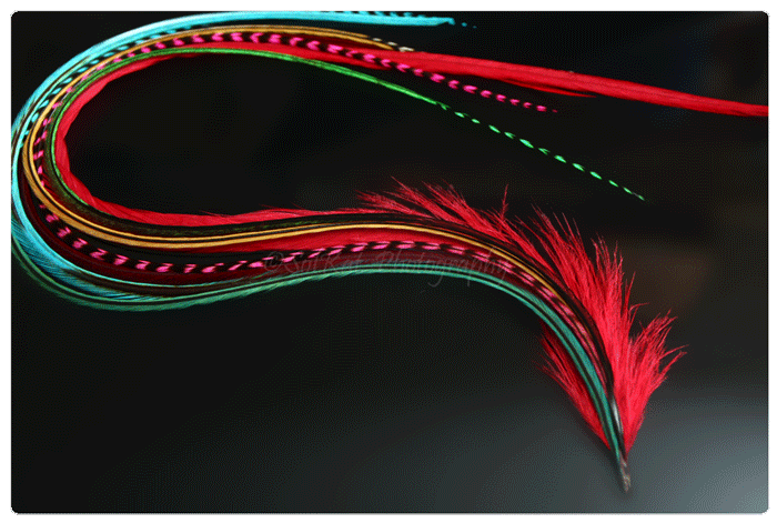 Bonded Feather Extensions & DIY Hair Feather Kits with Beads ...
