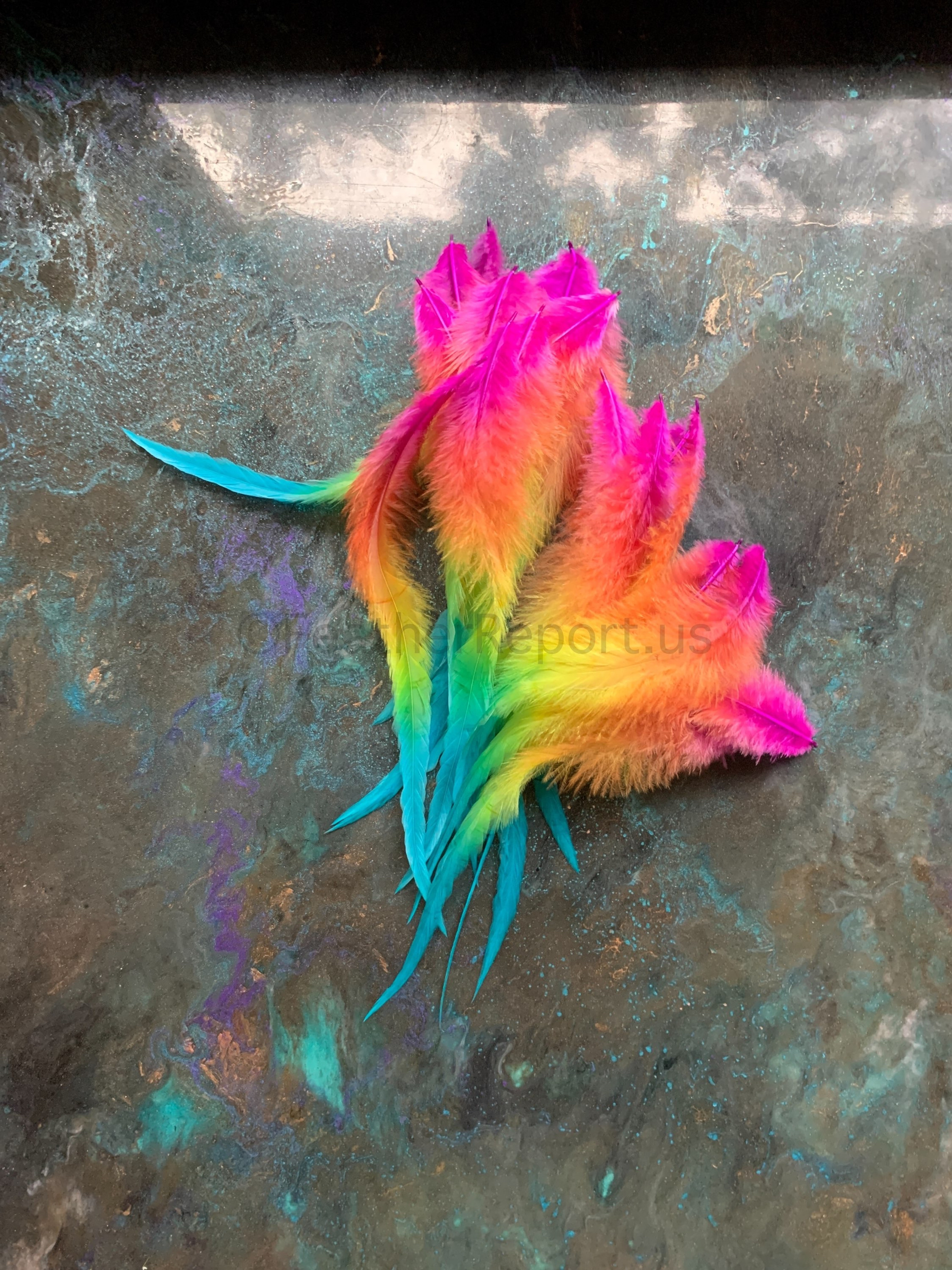 Craft Feathers | Real Feathers for Crafts | FeatherReport