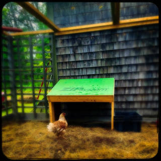 INTERIORS + OBJECTS | Susan Finsen