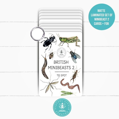 Minibeasts 2 - Explorer | PlayfulLittleReaders