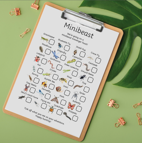 Scavenger Hunt - Minibeasts | PlayfulLittleReaders