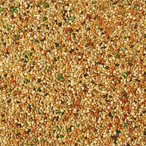 Finch Seed | Thebirdshoppe