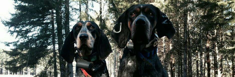 PUPPIES | TRI-CROSS KENNELS