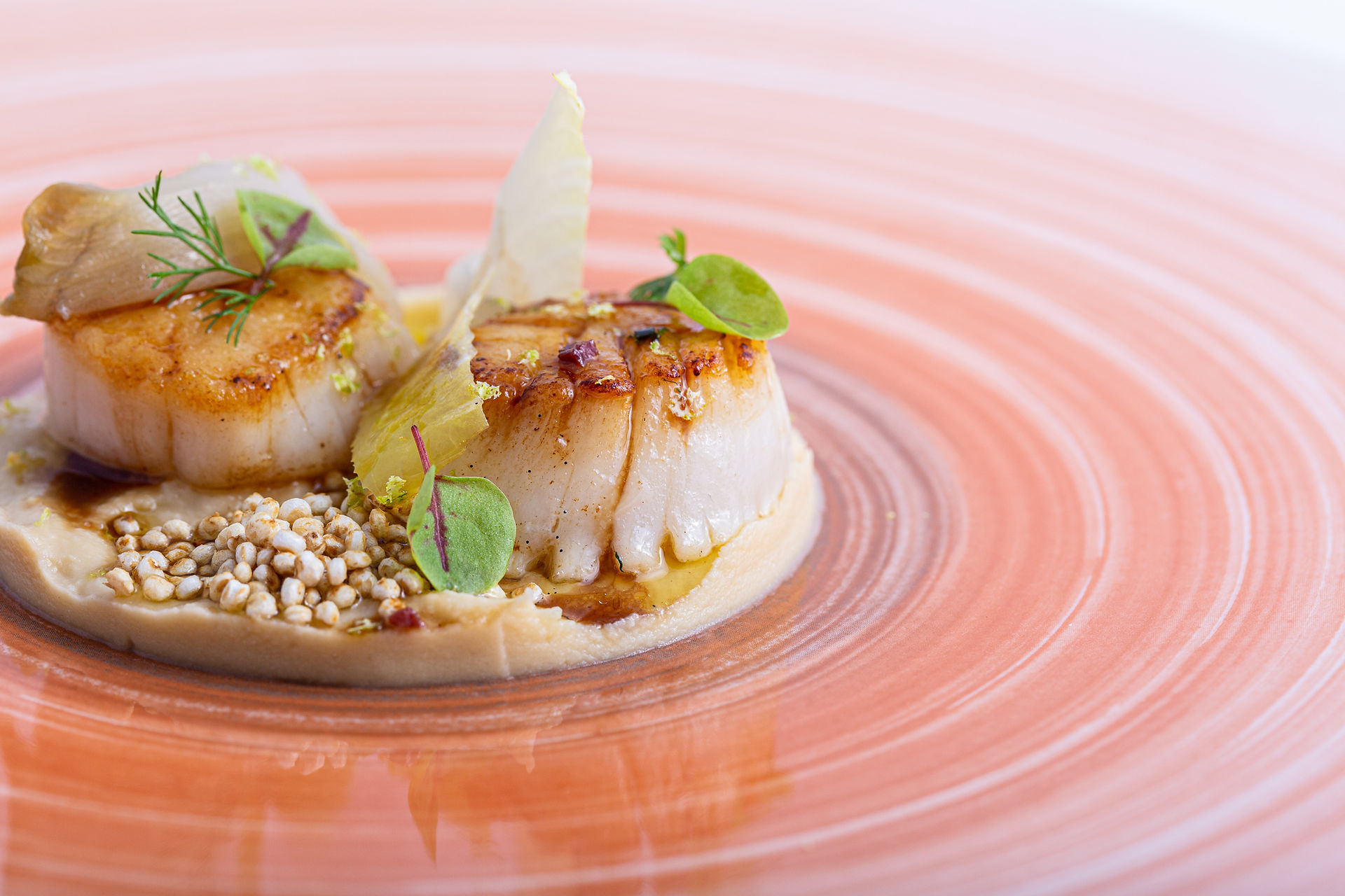 Menù alla carta | COMI107