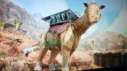 Paraceratherium High Lvl [Ps PvP] | Arknomaly