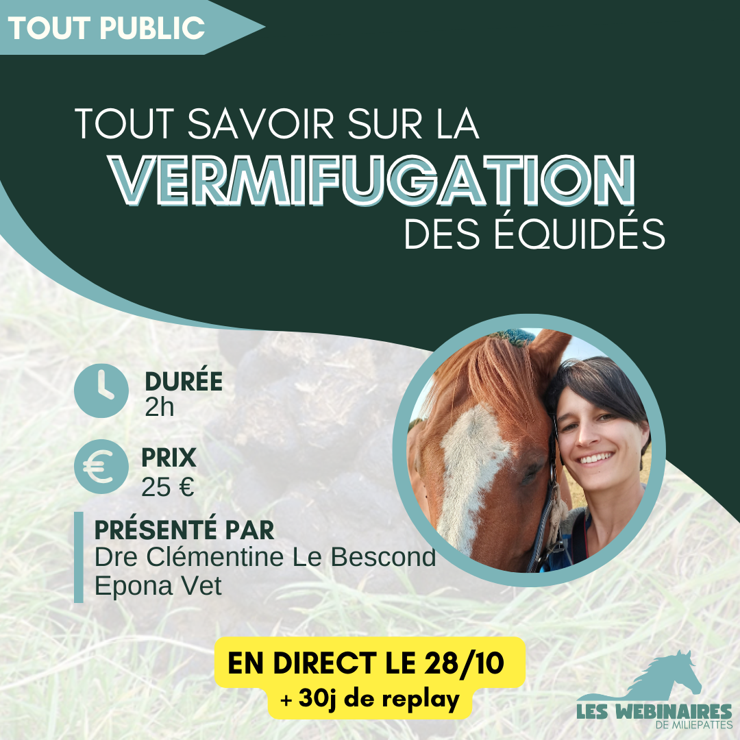 Tout savoir sur la vermifugation des équidés | Miliepattes