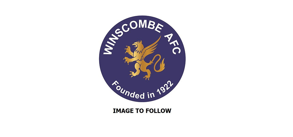 Under 10s | Winscombe Football Club