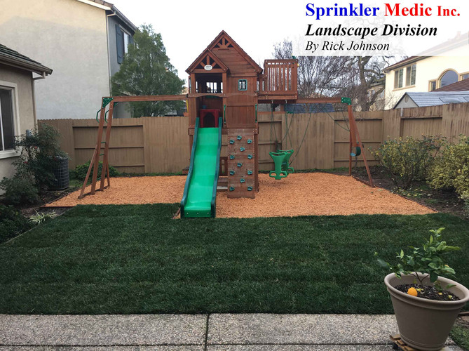 Landscape | Sprinkler Medic Inc.