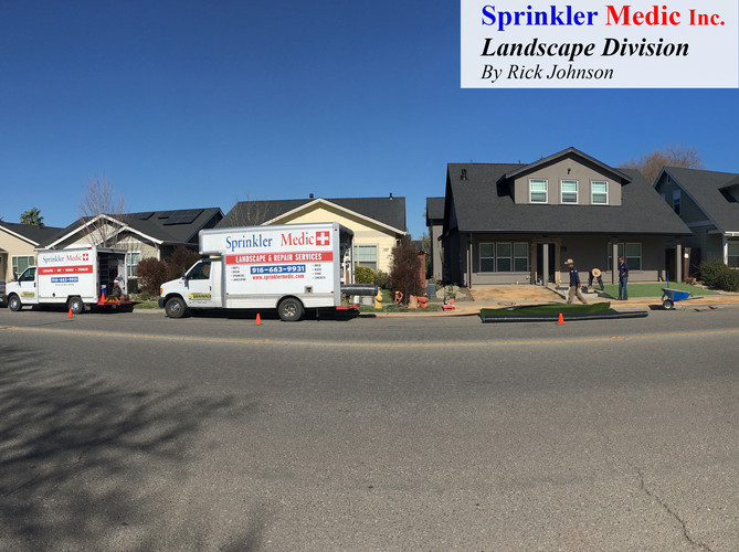 Landscape | Sprinkler Medic Inc.