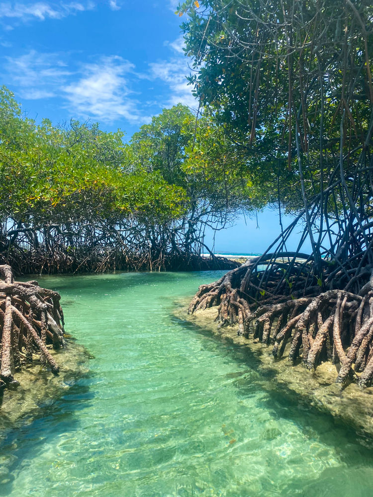 Exploring Puerto Rico: 10 Things to Do in Puerto Rico