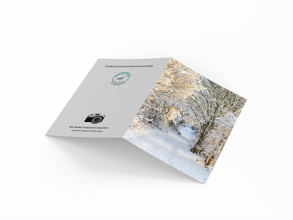 Imogen Barker | Bearded Seagull Arts & Crafts