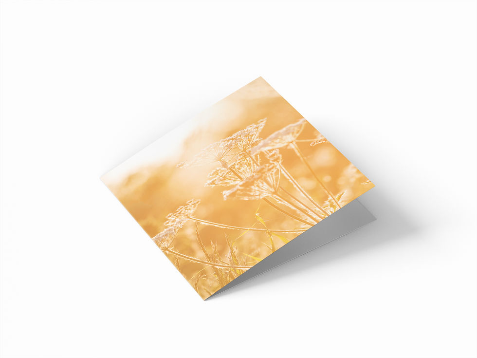 Imogen Barker | Bearded Seagull Arts & Crafts