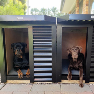 Kustom Dog Kennels | Colorbond Steel Dog Kennel | Australia