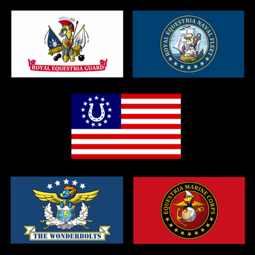 Brony US Military Flags | Convention History