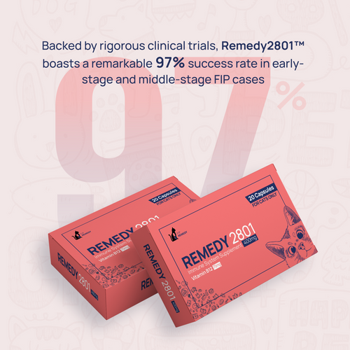 Remedy2801™ Complete 84-day FIP Treatment Kit | FIP Remedy