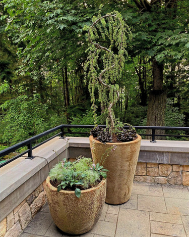 Ornamental Containers | Ochre Home & Garden