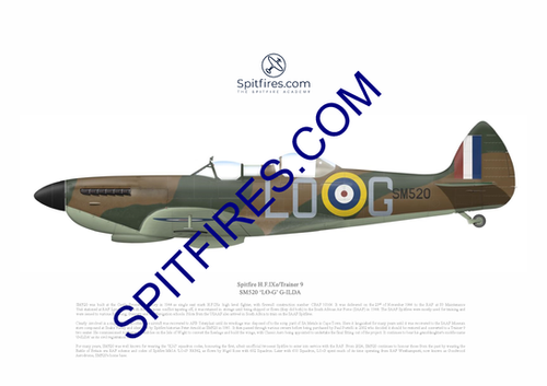 Spitfire Aircraft Prints | Spitfires.com