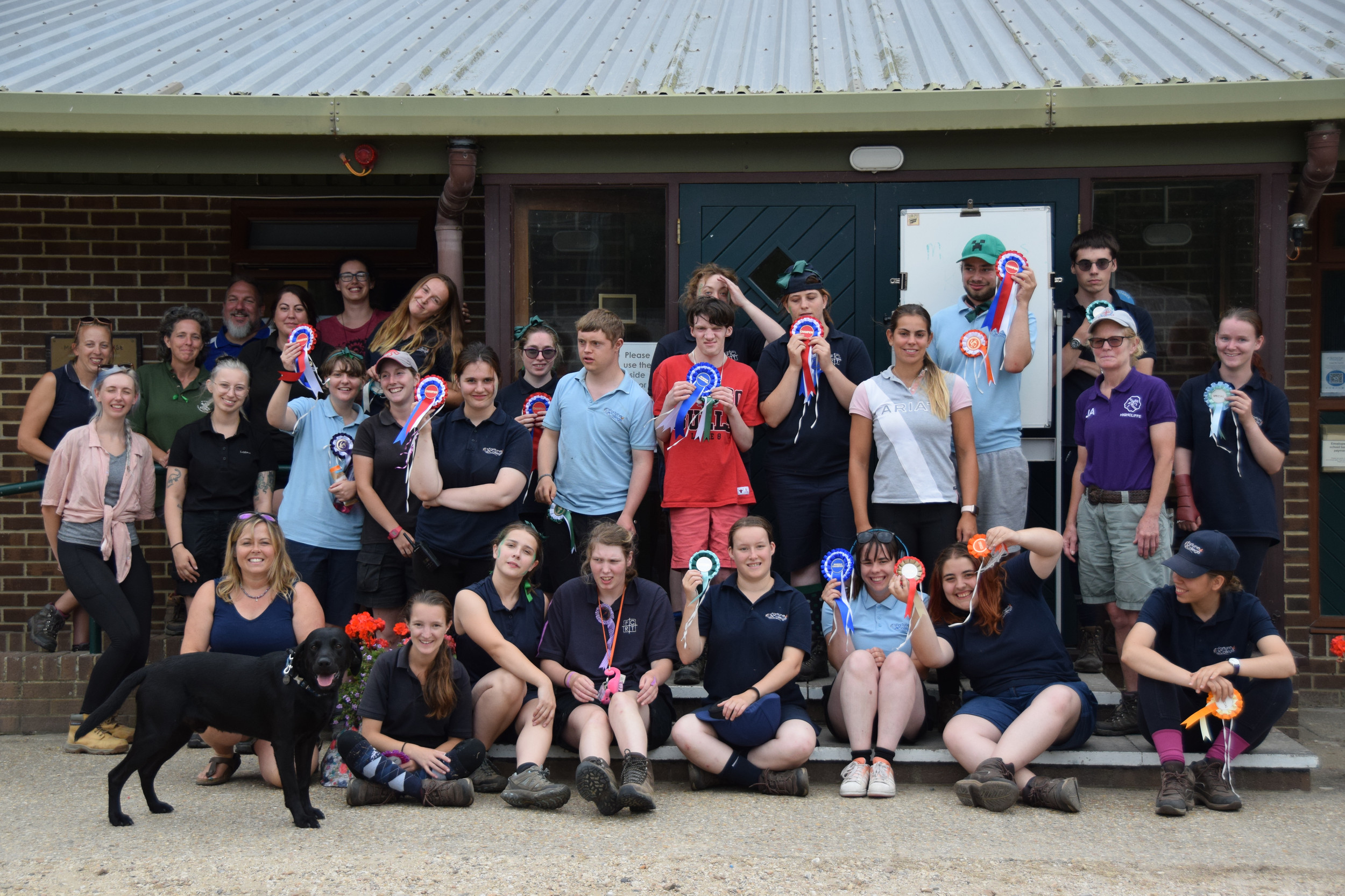 SPONSOR A HORSE | Fortune College