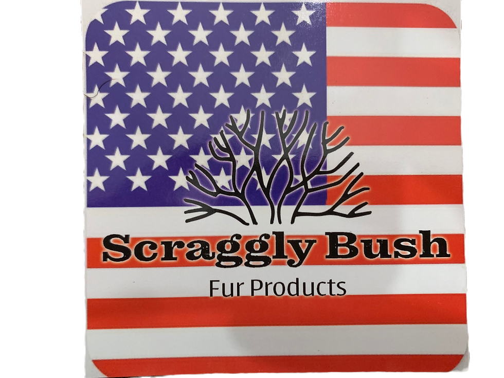Scraggly Bush | Shop 5/6