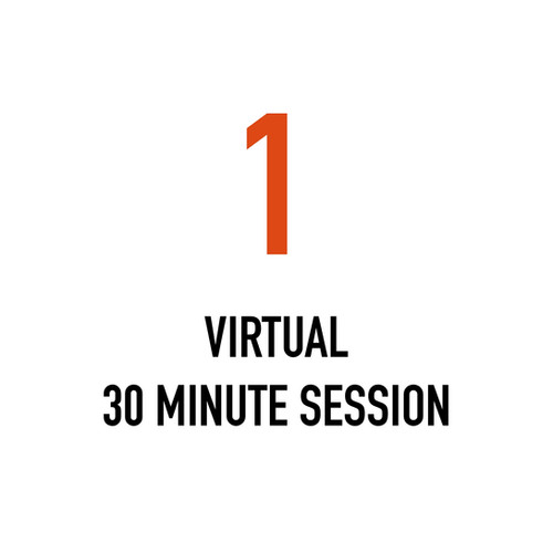 One VIRTUAL 30 Minute Session | Boss Body Fitness